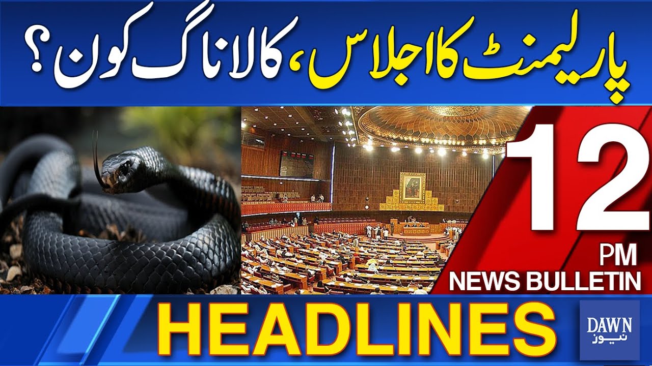 Dawn News Headlines 12 PM | Parliament Session: Who Is The Black Snake ...