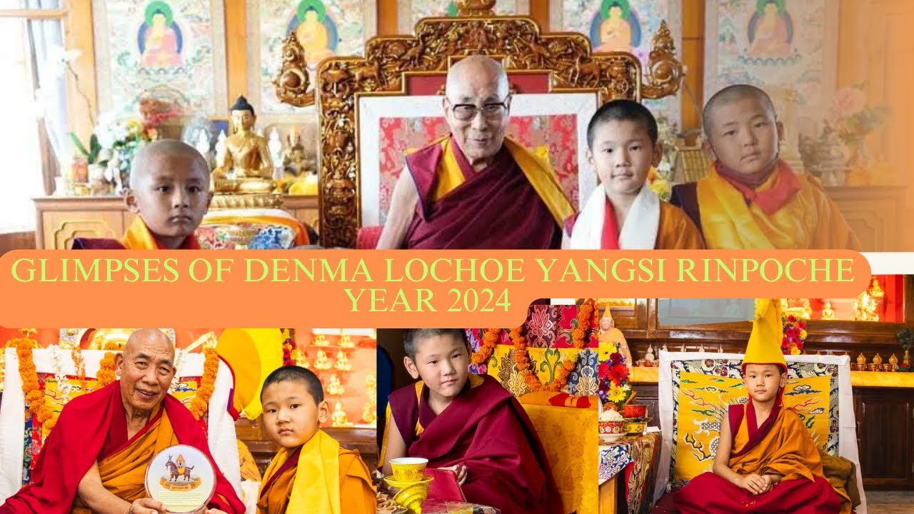 Glimpse of Denma Lochoe Yangsi Tenzin Choeying Rinpoche of the year ...
