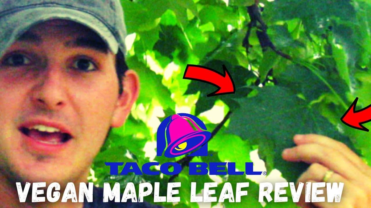 Taco Bell's Vegan Maple Leaf Review (Vegan Edition) (CBN News) - YouTube