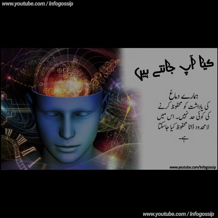 facts that u didn't know || Yt shorts ep-03 || #shorts #ytshorts #youtubeshorts - YouTube