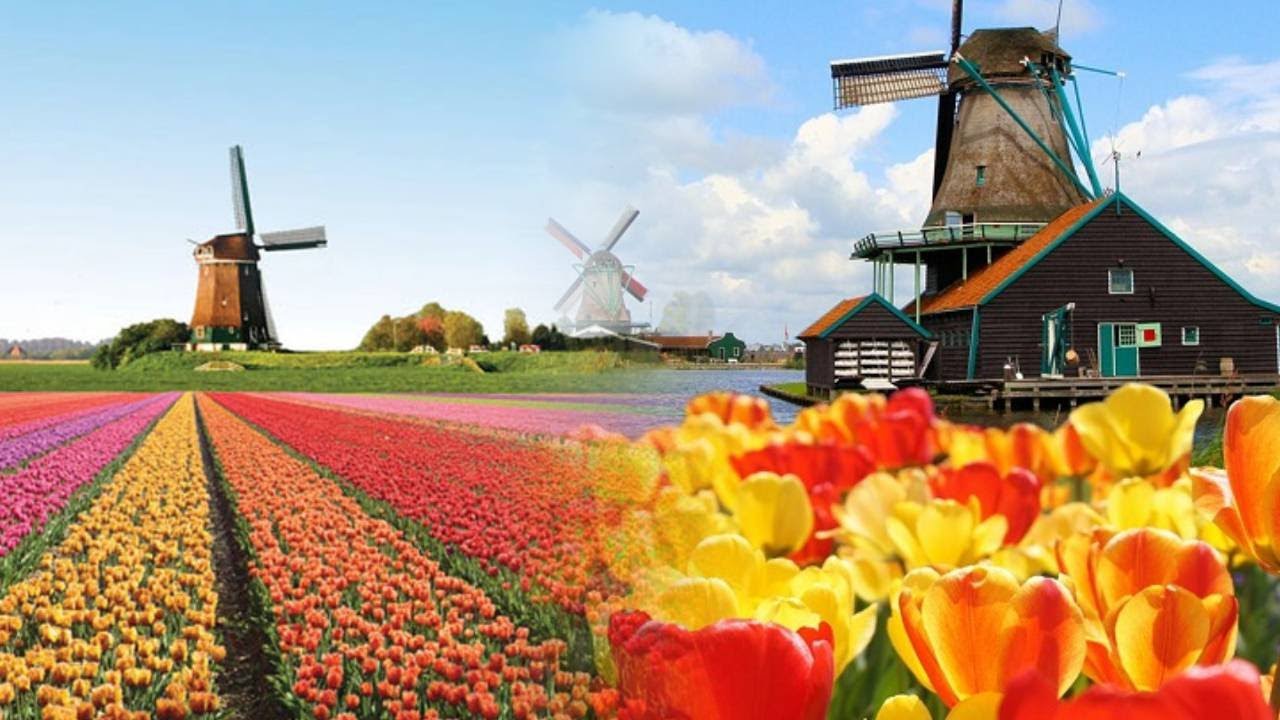 🎶 Soothing healing music with beautiful scenery in the Netherlands ...