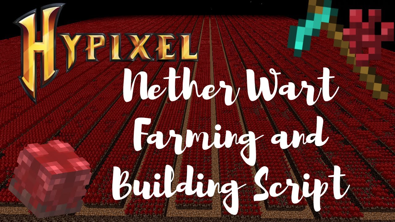 Hypixel Skyblock Nether Wart Farming Script for Alchemy, 120M+ per day ...