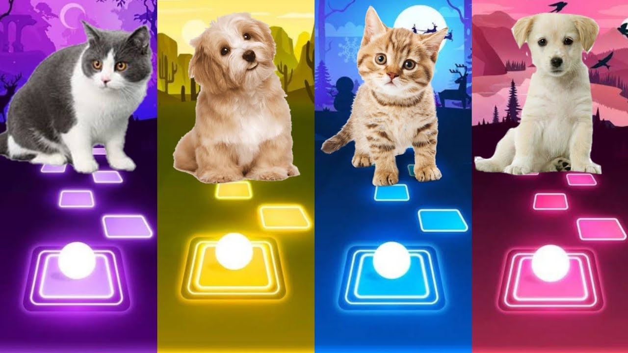 Cute Cats VS Cute Puppy VS Cute Cats VS Cute Puppy - Tiles Hop Edm Rush ...