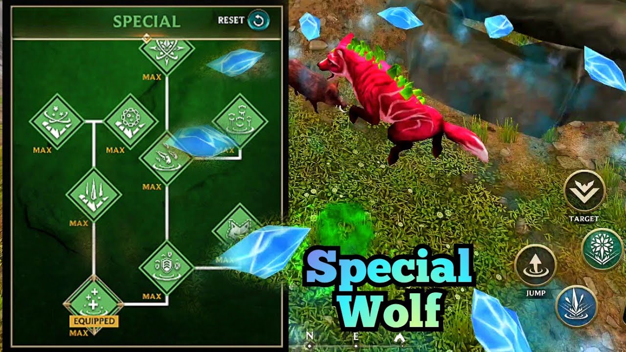 All about the Special abilities of Wolf | WOLF TALES || 4017 - YouTube