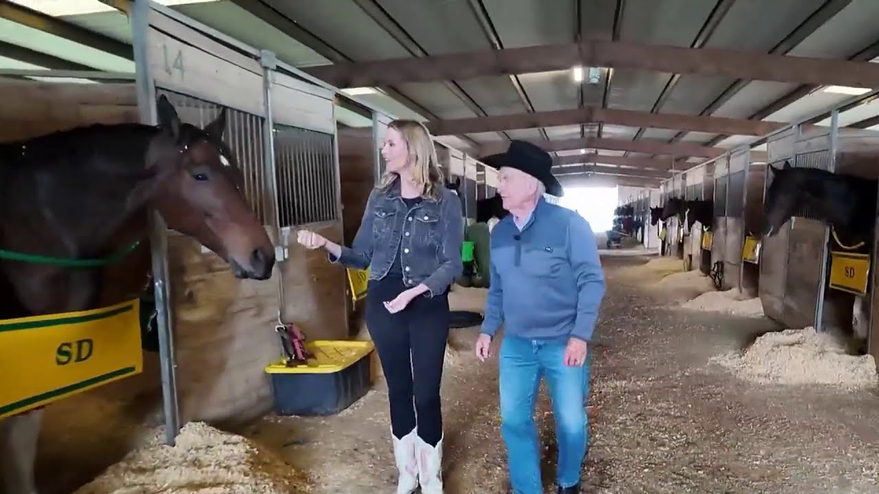 See the inspiring comeback of a rodeo champion turned horse trainer at ...