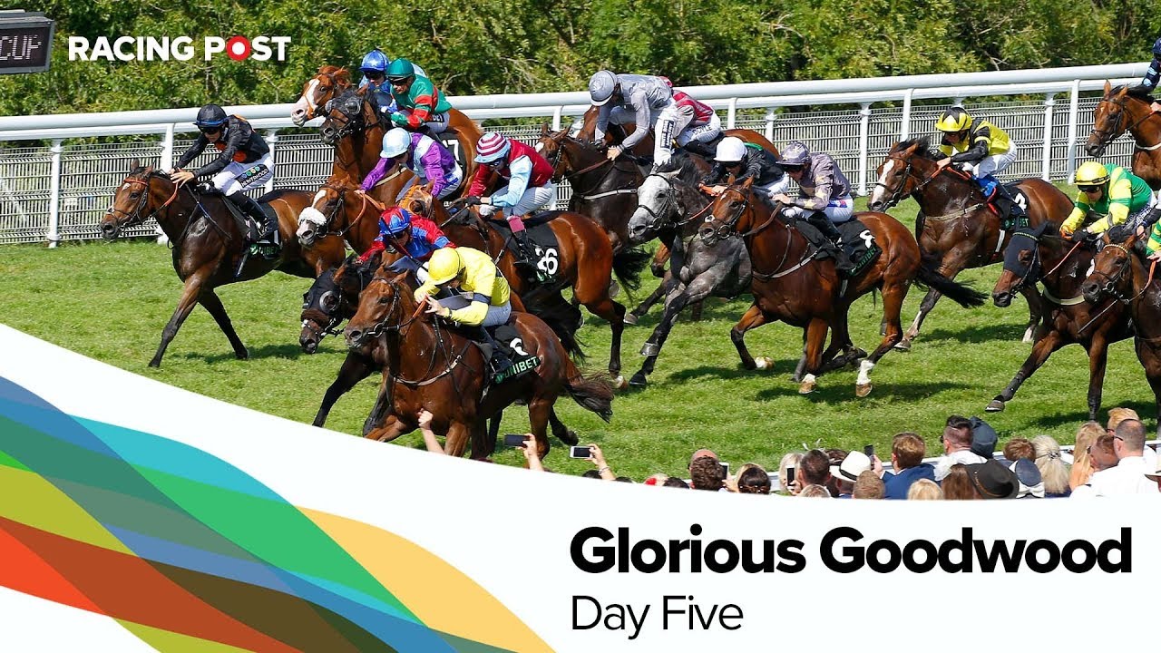 Maddy Playle previews Stewards' Cup day | Glorious Goodwood 2019 - YouTube