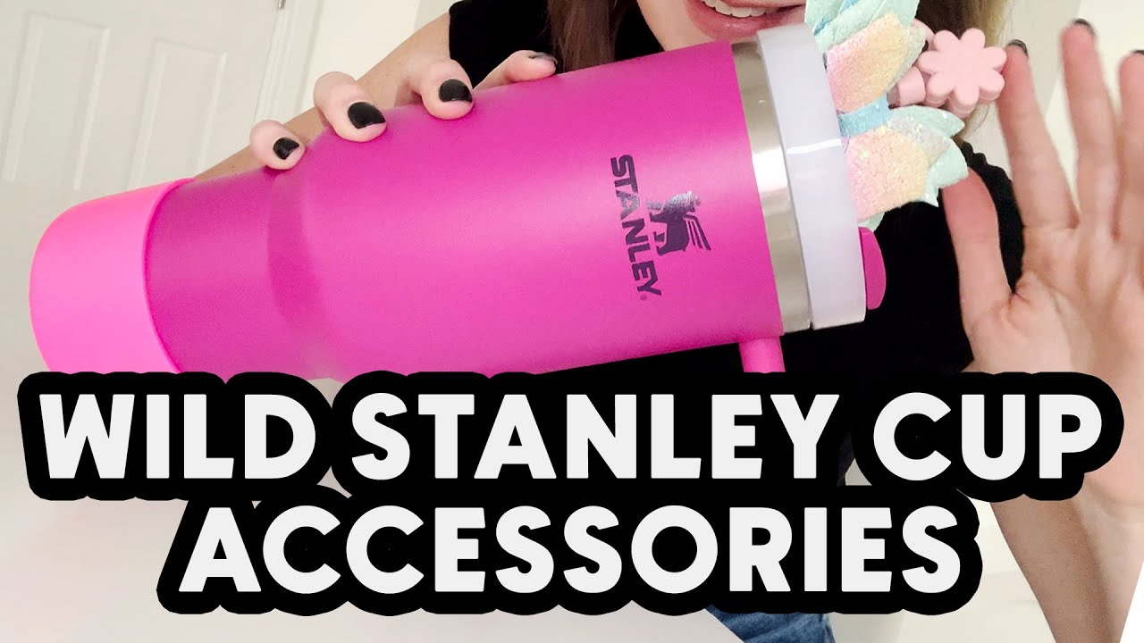 3 Crazy Stanley Cup Accessories – BLING BLING! - YouTube