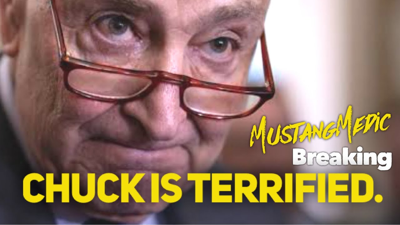 #BreakingNews Chuck Schumer is scared witless now that they've got ...