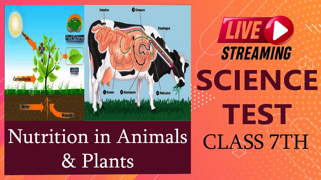 LIVE Science Test: Class 7th [Nutrition in Plants & Animals] | Shikshak ...