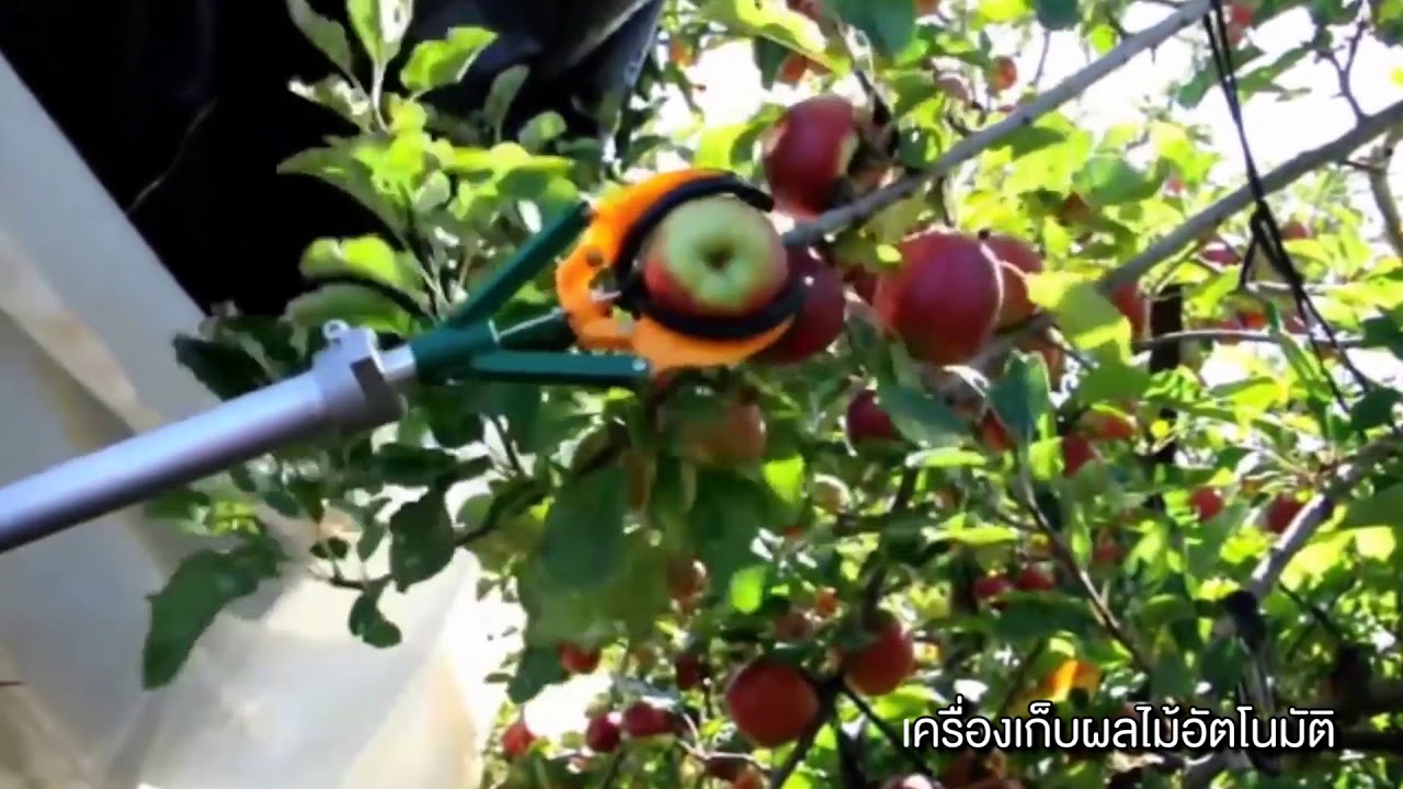 Automatic fruit picker เครื่องเก็บผลไม้อัตโนมัติ - YouTube