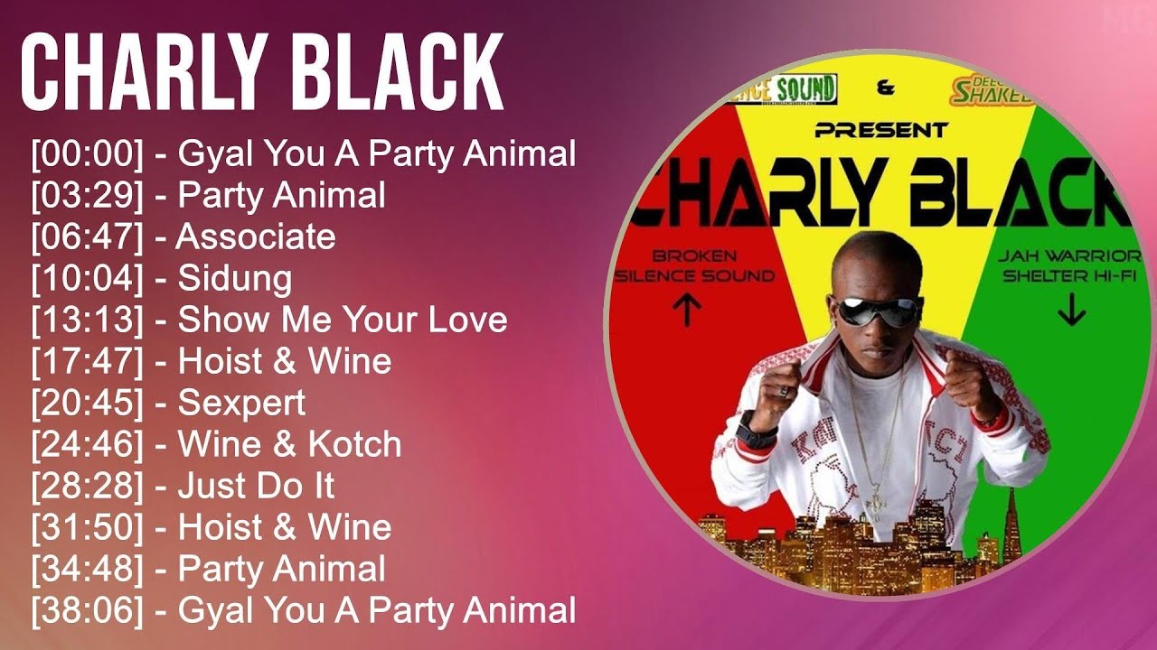 Charly Black 2024 MIX Nuevas Canciones - Gyal You A Party Animal, Party ...