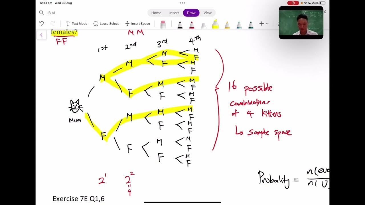 4. 7E Exercises - YouTube