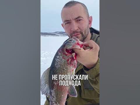Хариус рвёт снасти - YouTube