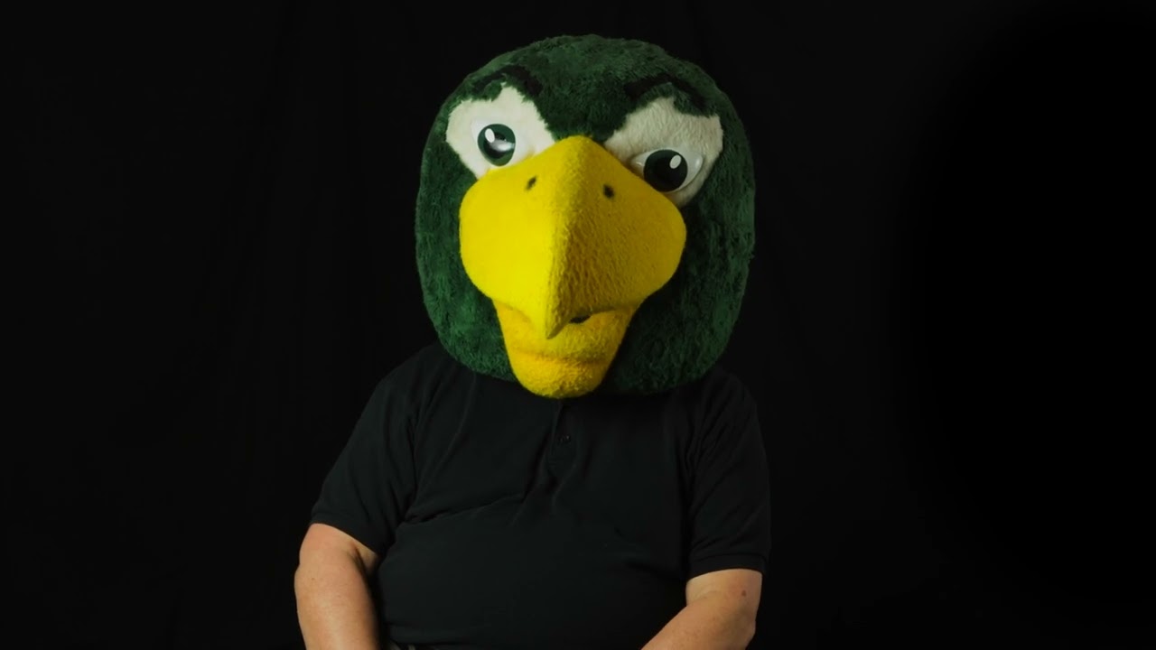 Seahawks Mascot Costume