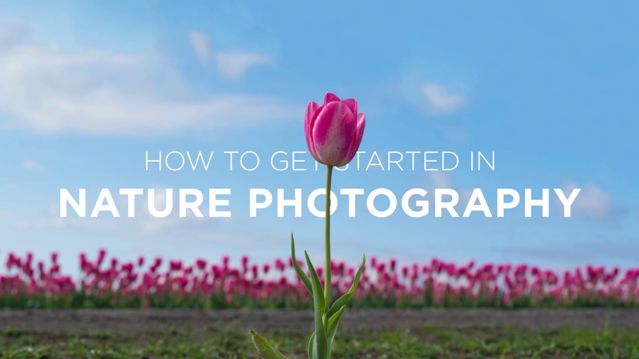 How To Get Started In Nature Photography (Official Trailer) with John ...