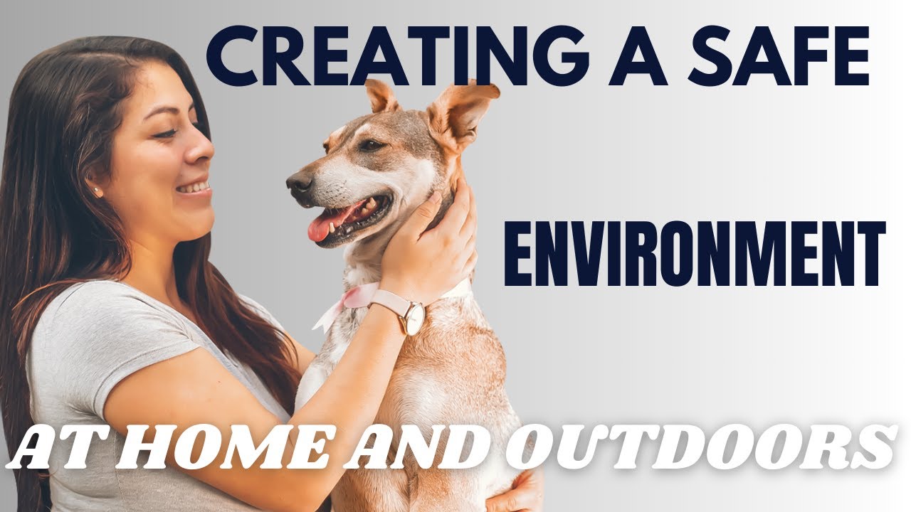 Pet Safety: Creating a Safe Environment at Home and Outdoors - YouTube