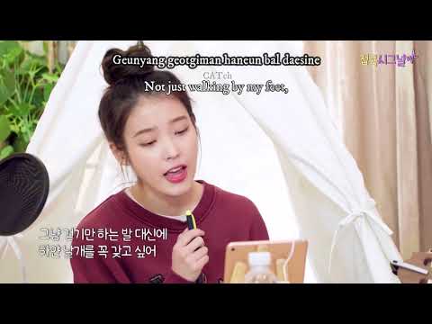 IU A DREAMER with ROM ENG lyrics on MishMash Live 1