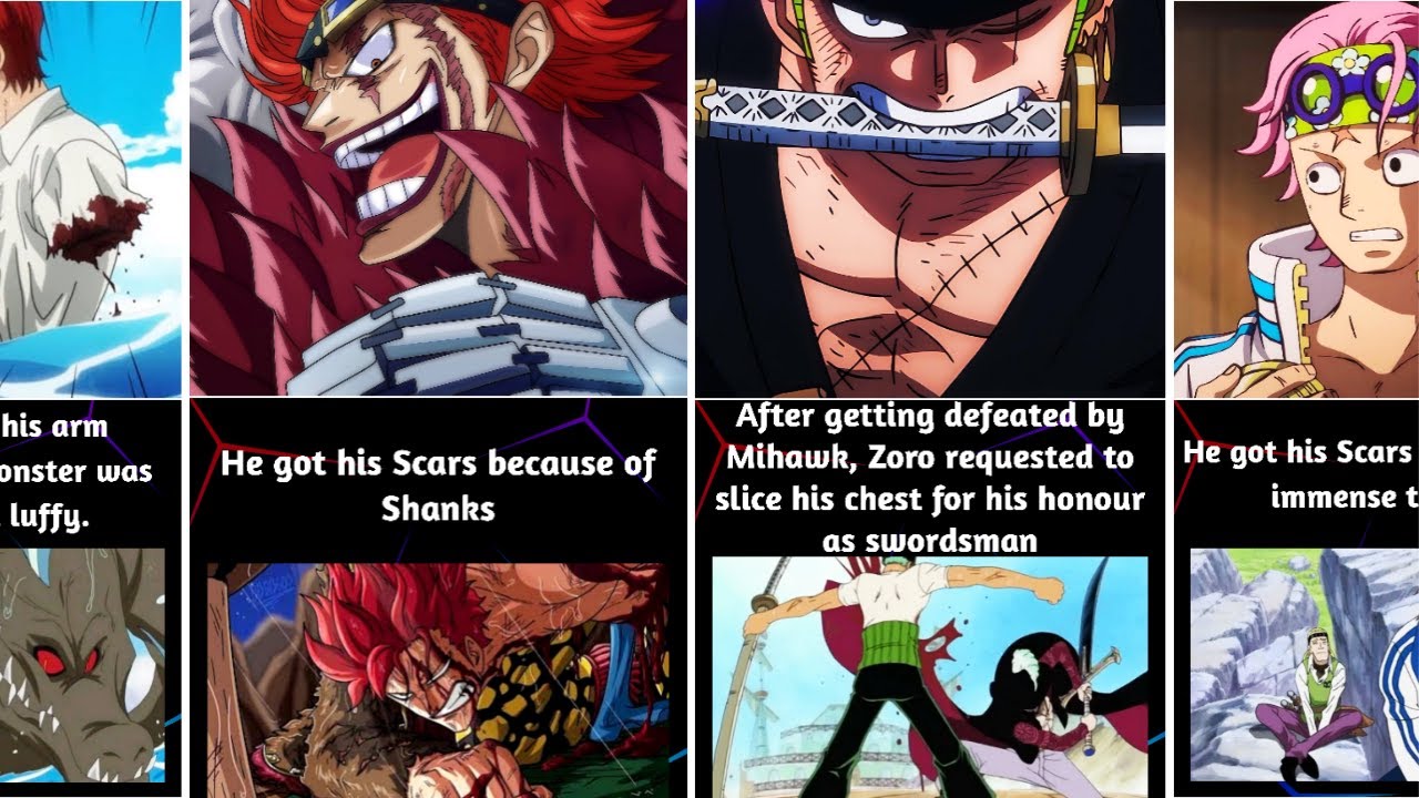 One Piece Characters Scars And How They Got Them - YouTube