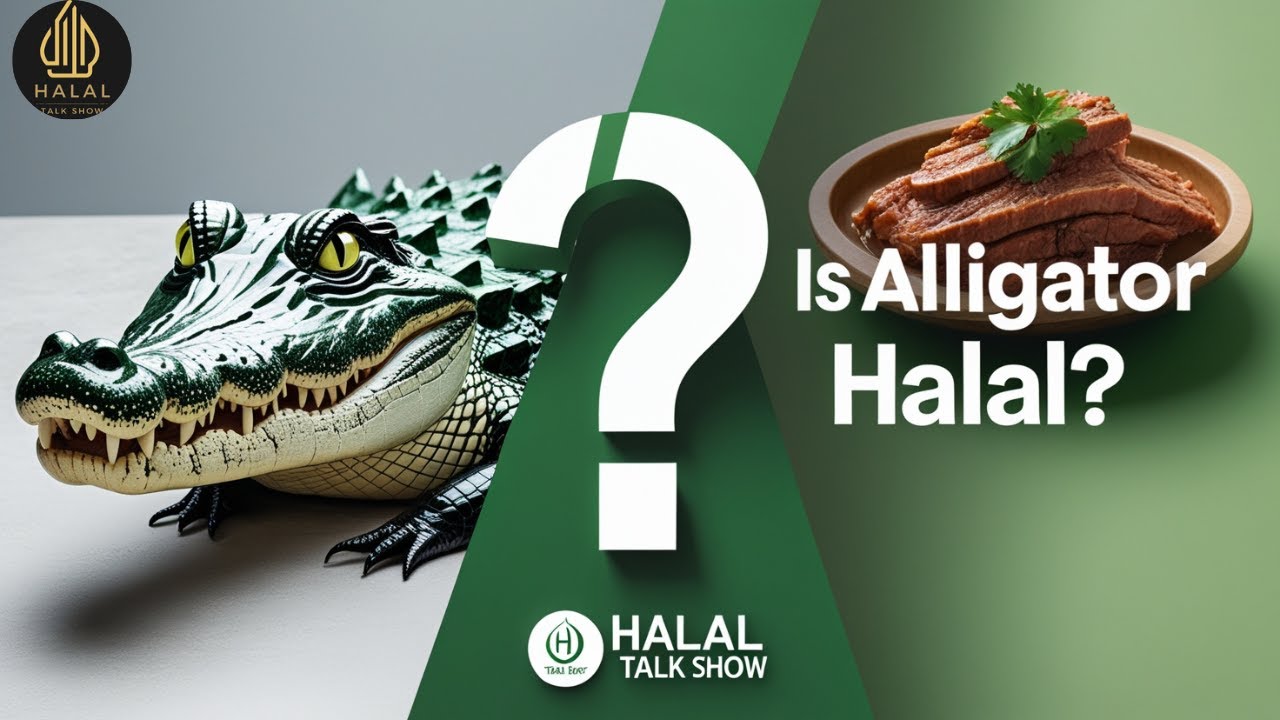 Is Alligator Halal or Haram? | Islamic Perspective on Eating Alligator ...