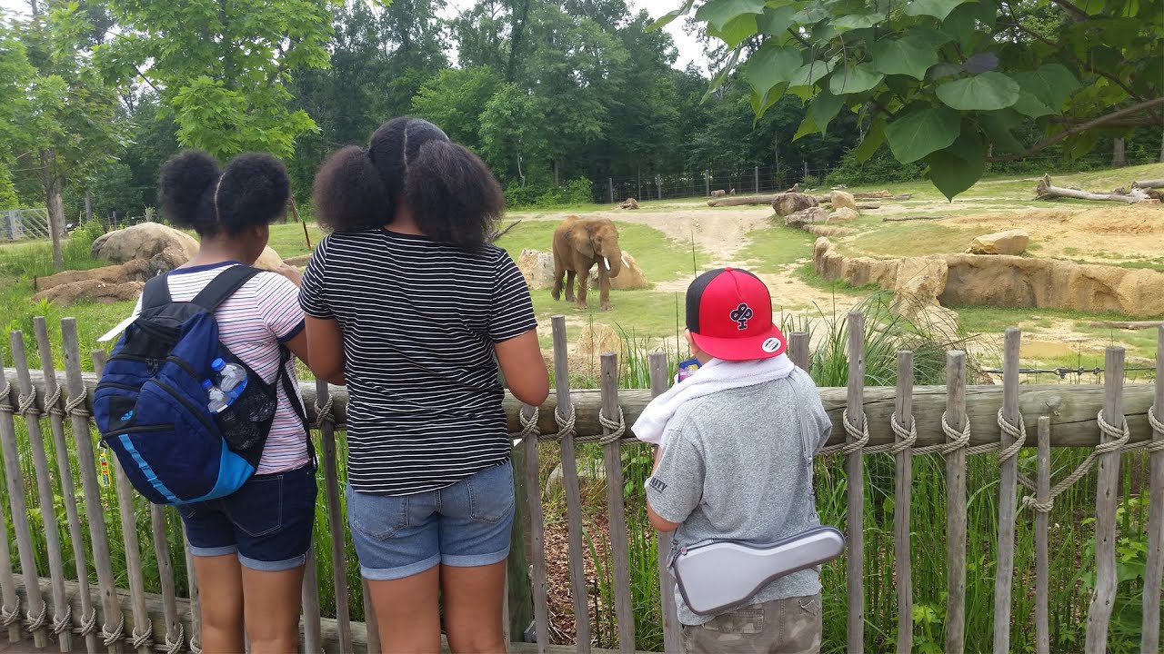 Birmingham Zoo - Fun With The Family - YouTube