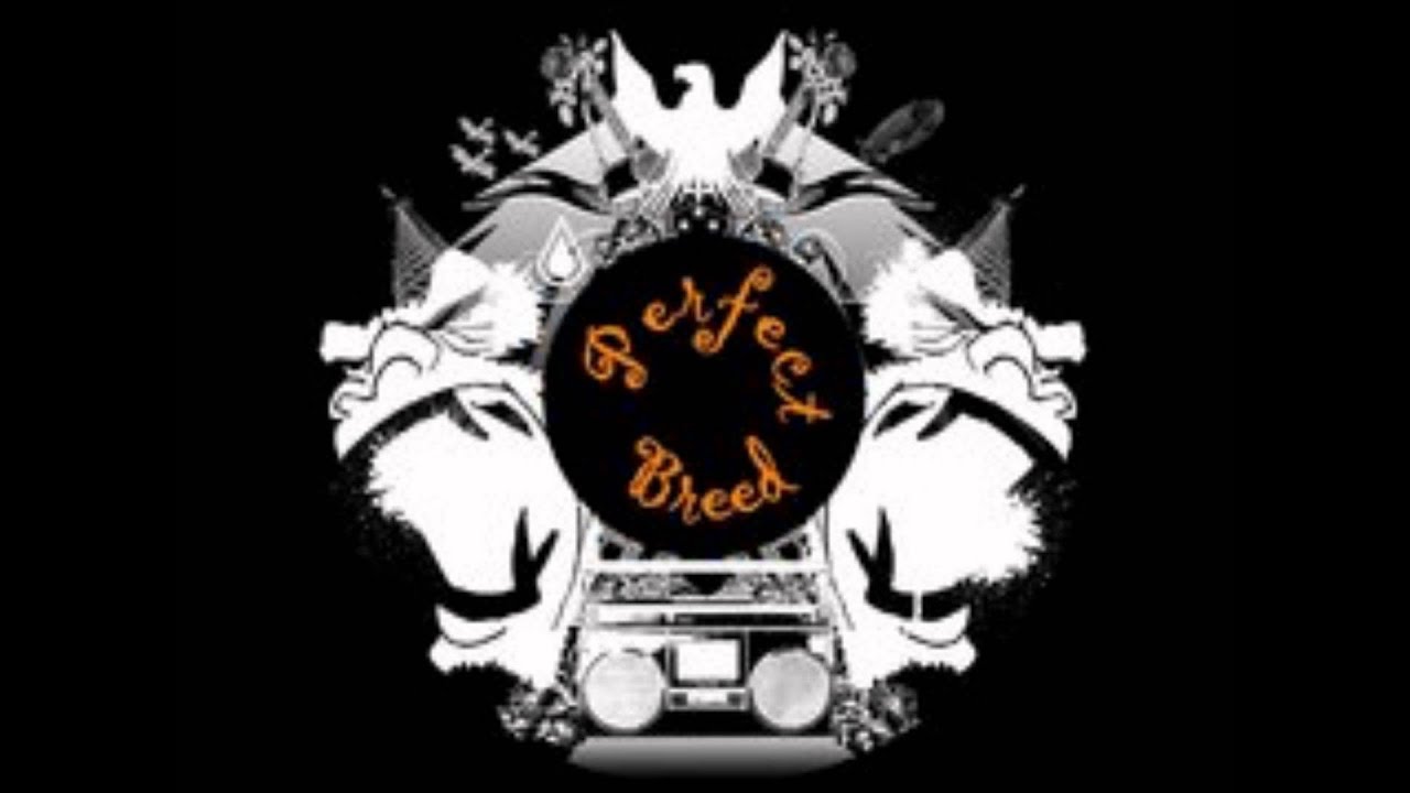 Lil Kim - Magic Stick (Ft 50 Cent) HD - YouTube