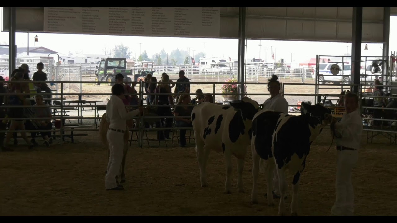 Umatilla County Fair 4-H/FFA Beef Showmanship followed by Dairy Cattle ...