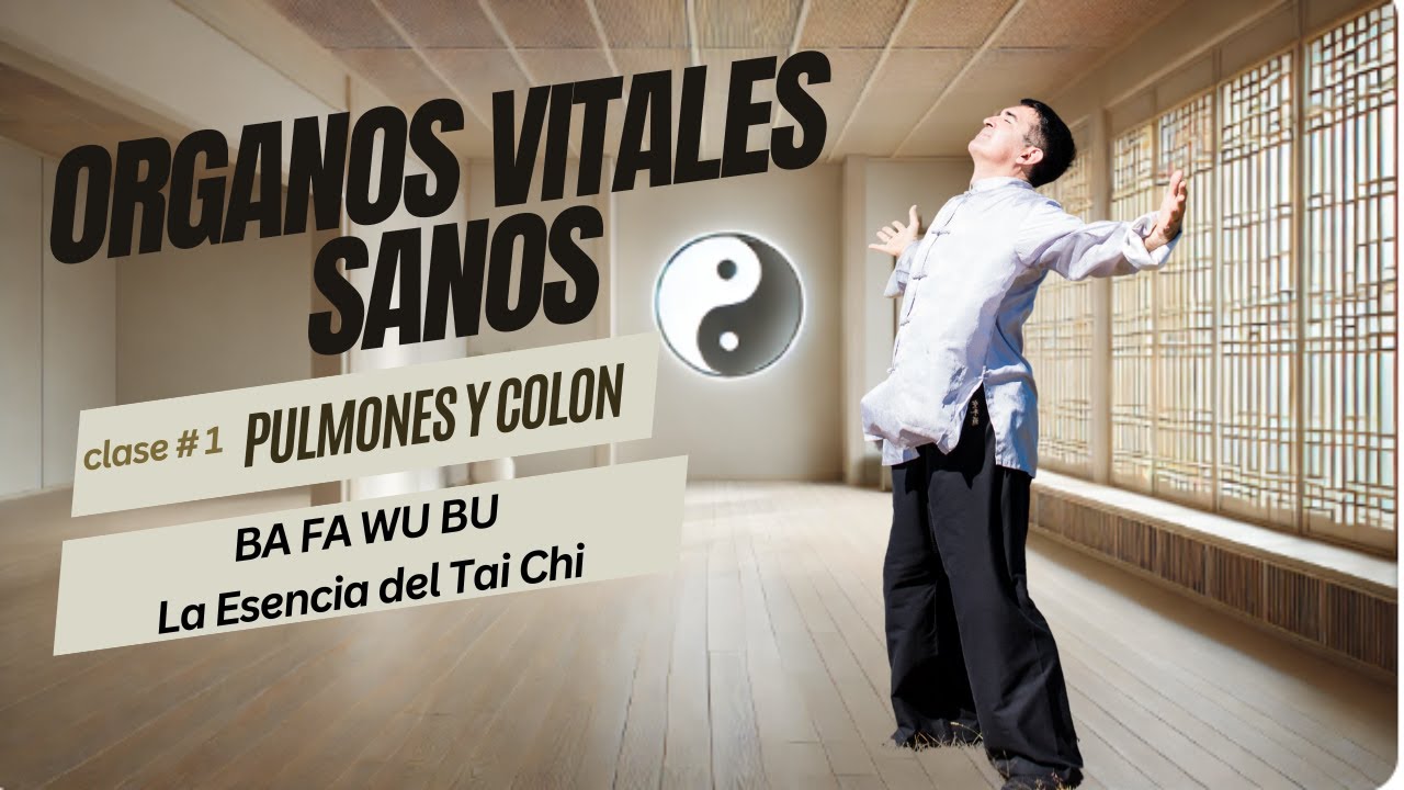 Como SANAR tus PULMONES y COLON - Clase de Tai Chi Ba Fa Wu Bu - Clase ...
