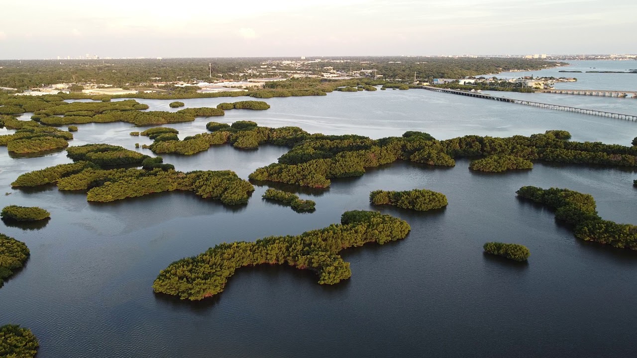Long Bayou - St Petersburg KOA - YouTube