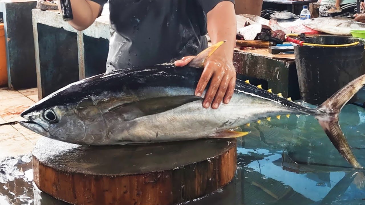 Amazing Tuna Cutting Skills, Foreigners Love the Way of Cutting ‼️ ...