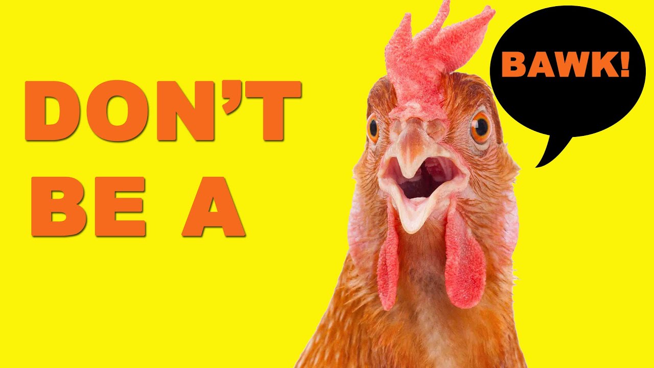The Showroom On Union: Don't Be Chicken - YouTube