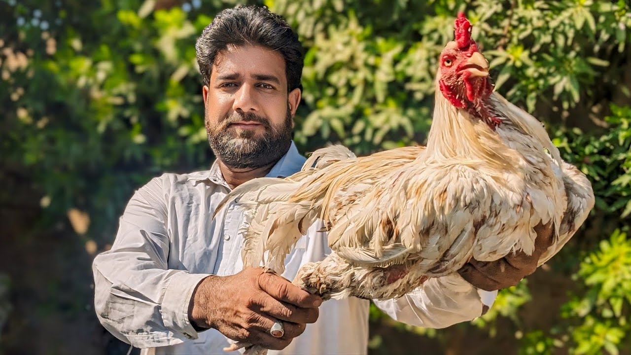 Desi Chicken Shorba l Rooster Recipe l Chicken Karahi l Bilal Abrar - YouTube