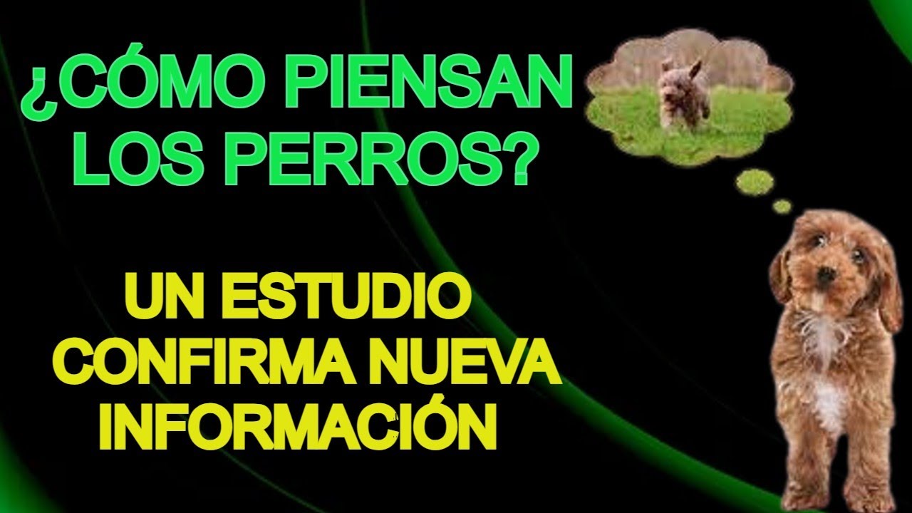 EQUIPO DE INVESTIGADORES DE LA UNIVERSIDAD DE EMORY, DESCIFRAN COMO ...