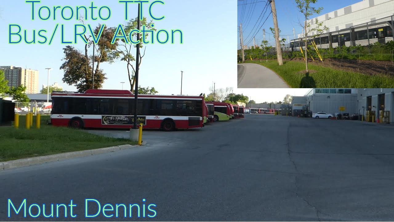 (STRONG LANGUAGE) Toronto TTC Bus/LRV Action Dampered by Annoying ...