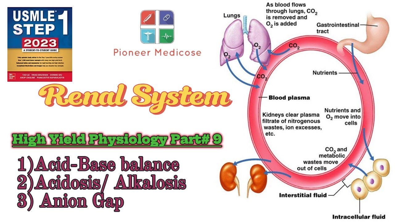 Acid-Base Balance, Acidosis, Alkalosis, Anion Gap from First AID step 1 ...