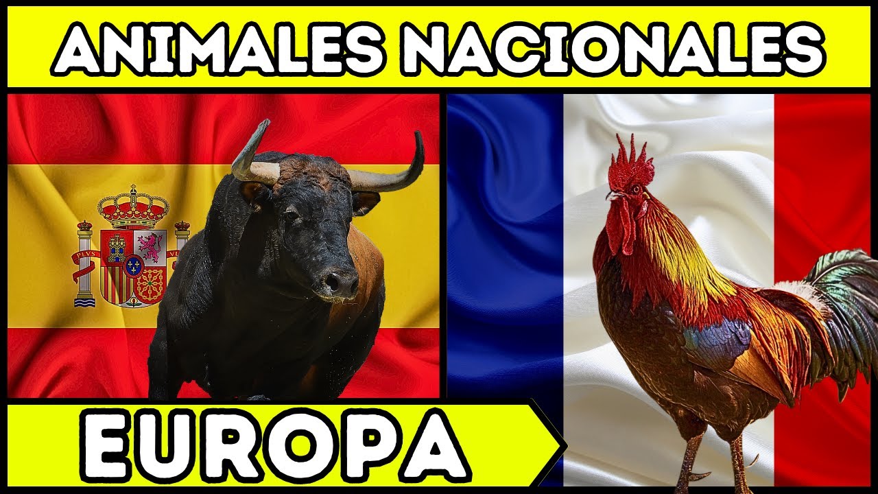 Aprende los Animales Emblemáticos de los Países Europeos | Animales ...