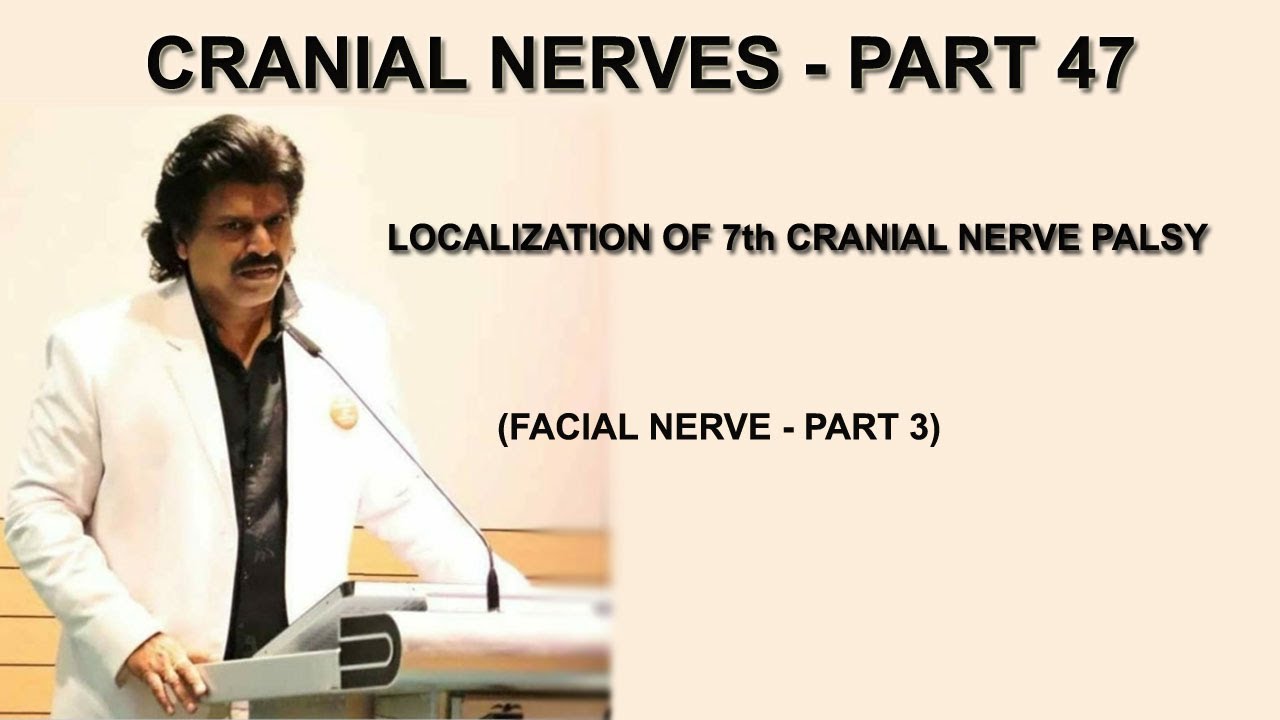 CRANIAL NERVES - PART 47, LOCALIZATION OF 7th CRANIAL NERVE PALSY ...