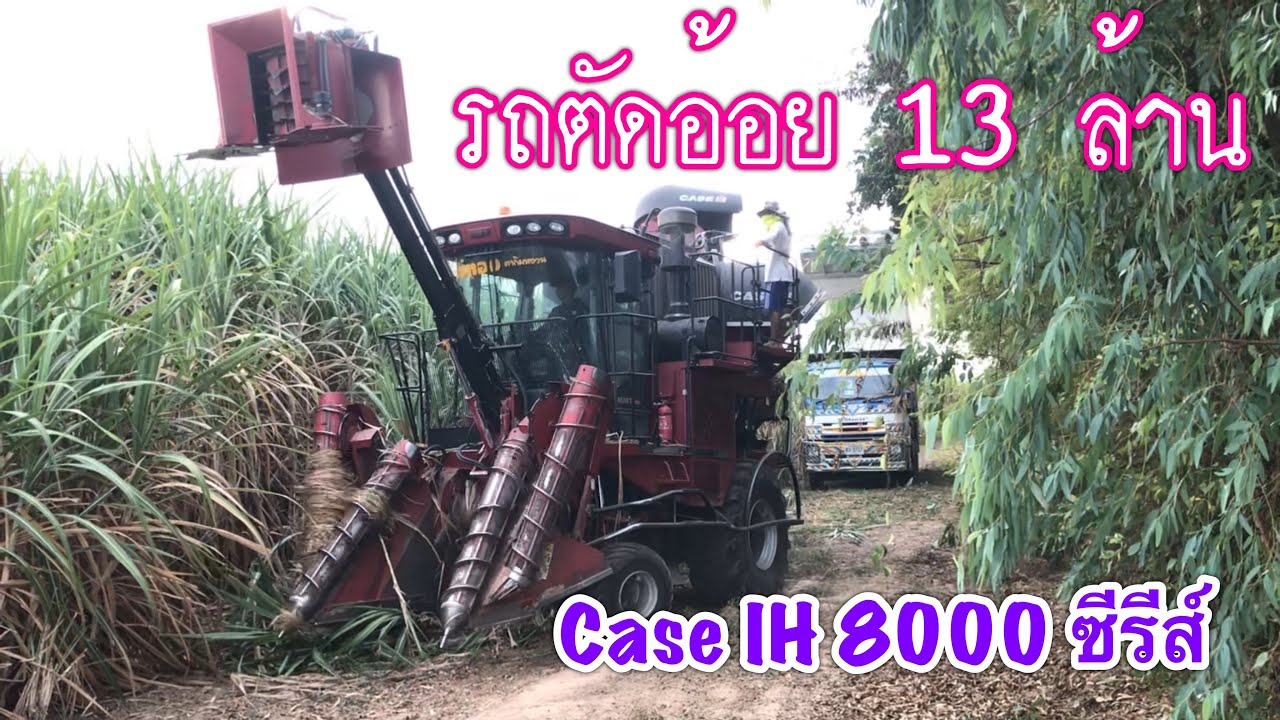 รถตัดอ้อยใหม่ ราคา 13 ล้าน ยี่ห้อ Case IH 8000 ซีรีส์ Austoft® มาดูกัน ...