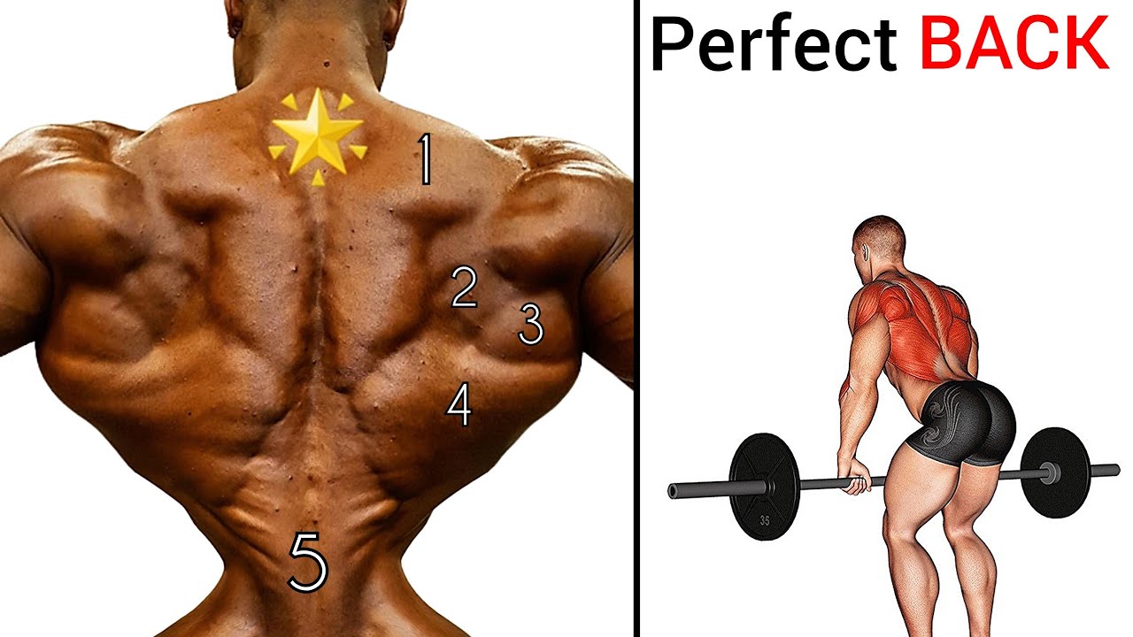 Best Gym Workout for a Perfect Back - Exercise - YouTube