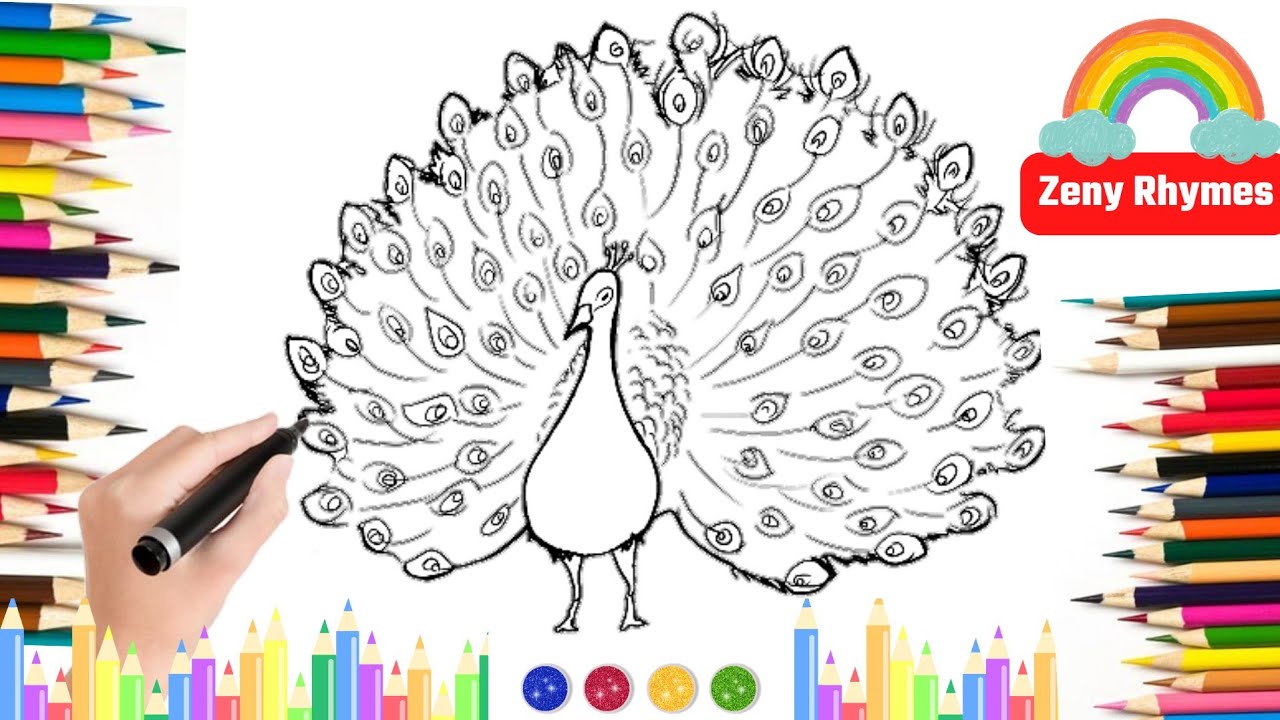 How to draw a Peacock step by step | Easy Peacock Drawing | Zeny ...