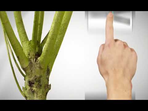 Cutting Tools Infomercial gb 2012 GA850 0231 - YouTube