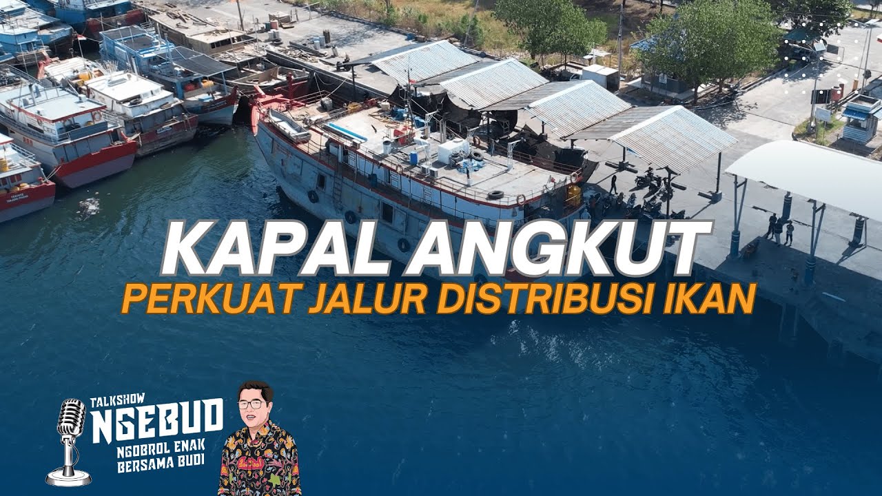 Kapal Angkut Perkuat Jalur Distribusi Ikan - YouTube