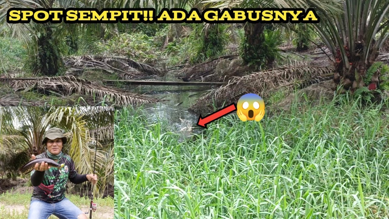 CASTING DI TEMPAT SEMAK-SEMAK HASILNYA ALHAMDULILLAH. - YouTube