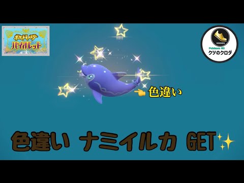 【ポケモンSV】Shiny Finizen GET Finizen → Palafin Evolve 🔥 - YouTube
