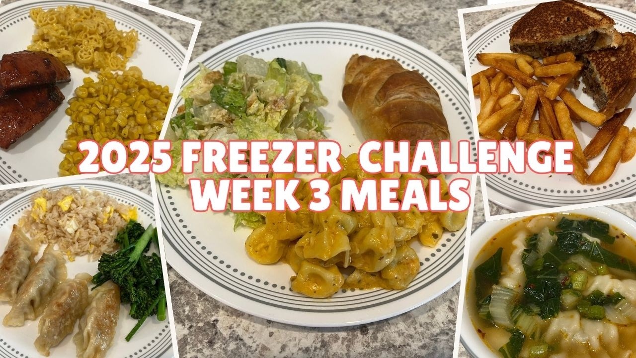 Freezer Challenge 2025 | Freezer Challenge Meals: Week 3 - YouTube