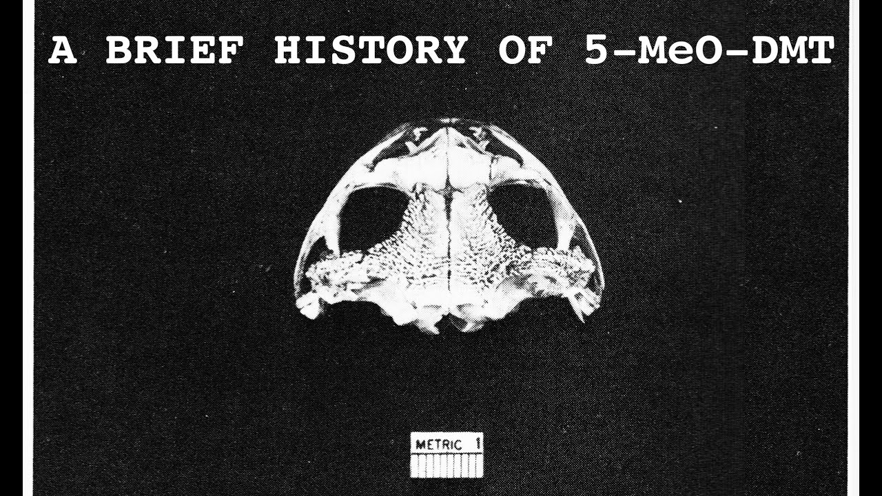 Hamilton Morris describes the history of 5-MeO-DMT - YouTube