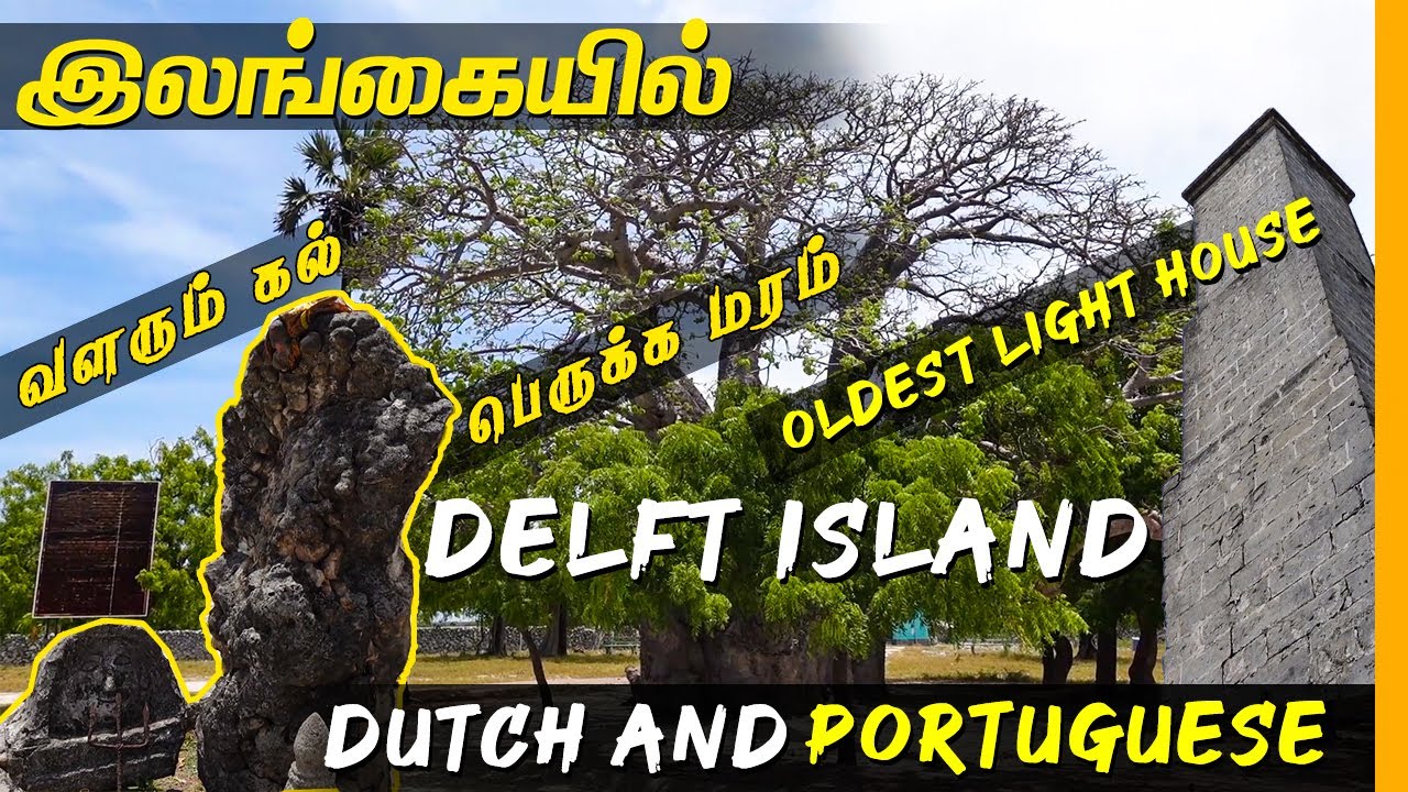 Delft Island Tour in Tamil | Delft island baobab tree | Kajan Vlogs ...