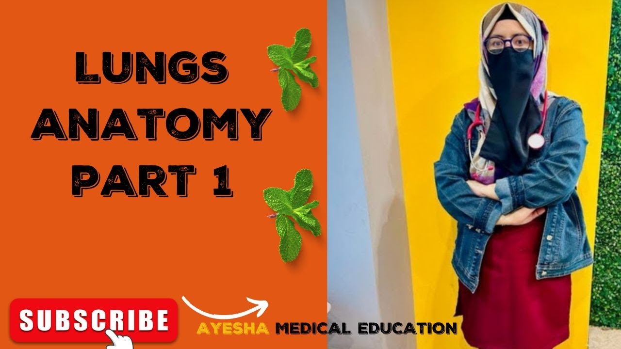 Lungs anatomy| part 1 | features| apex| base| borders | surfaces| lobes ...