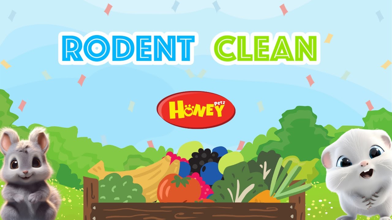 ผักและผลไม้อบแห้ง RODENT CLEAN BY HONEY PETZ - YouTube