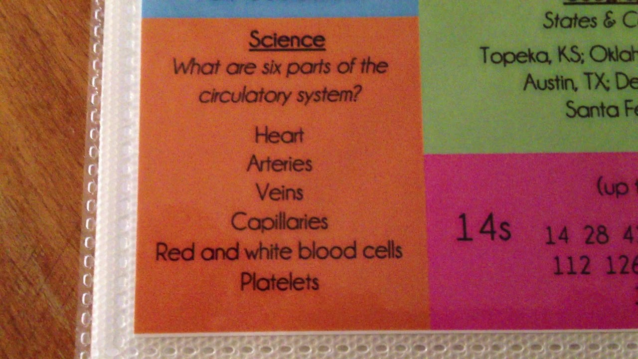CC Cycle 3 Week 8 science - YouTube