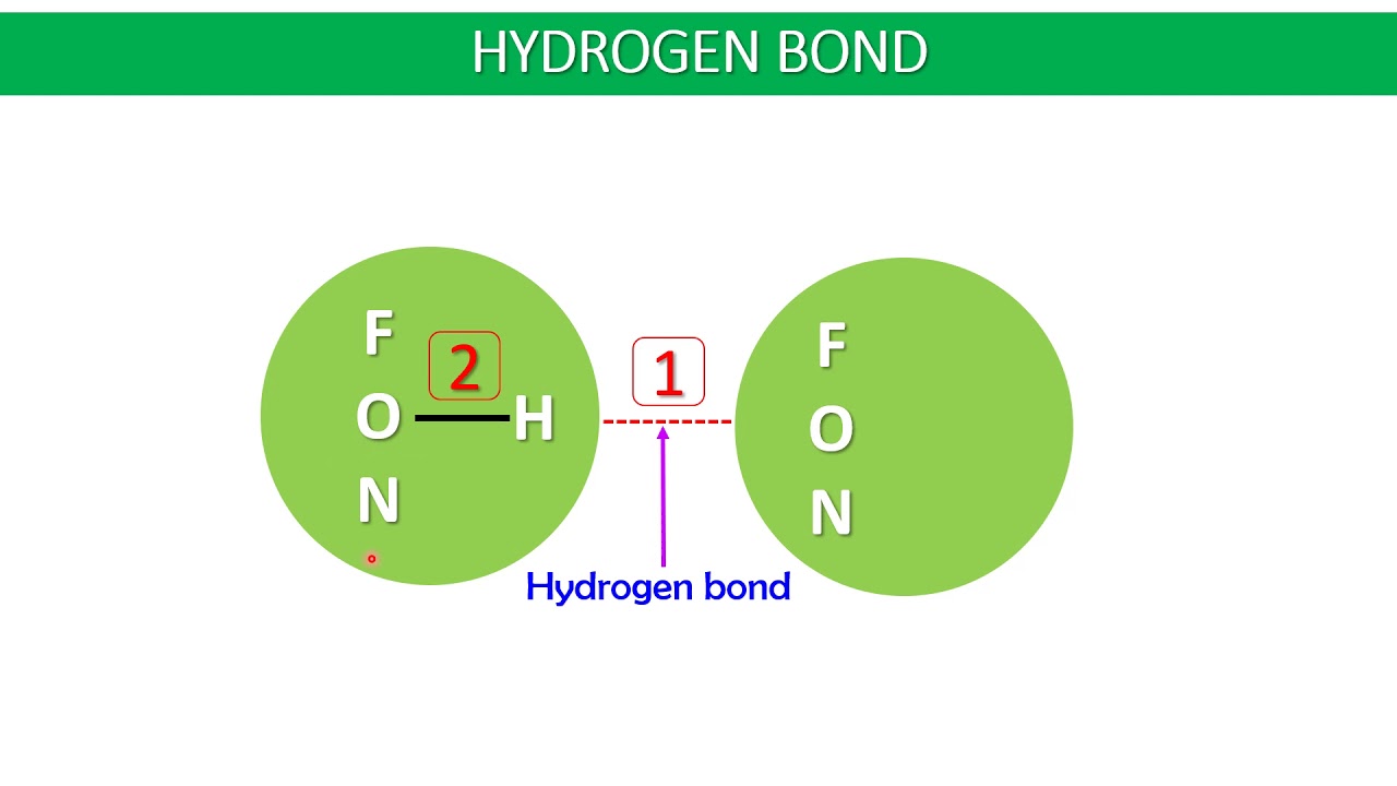 IMF: HYDROGEN BOND - YouTube